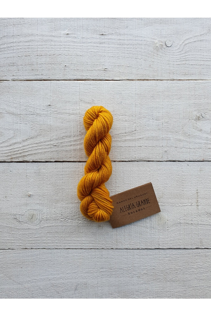 Alegria Grande Bocados – B Town Yarn